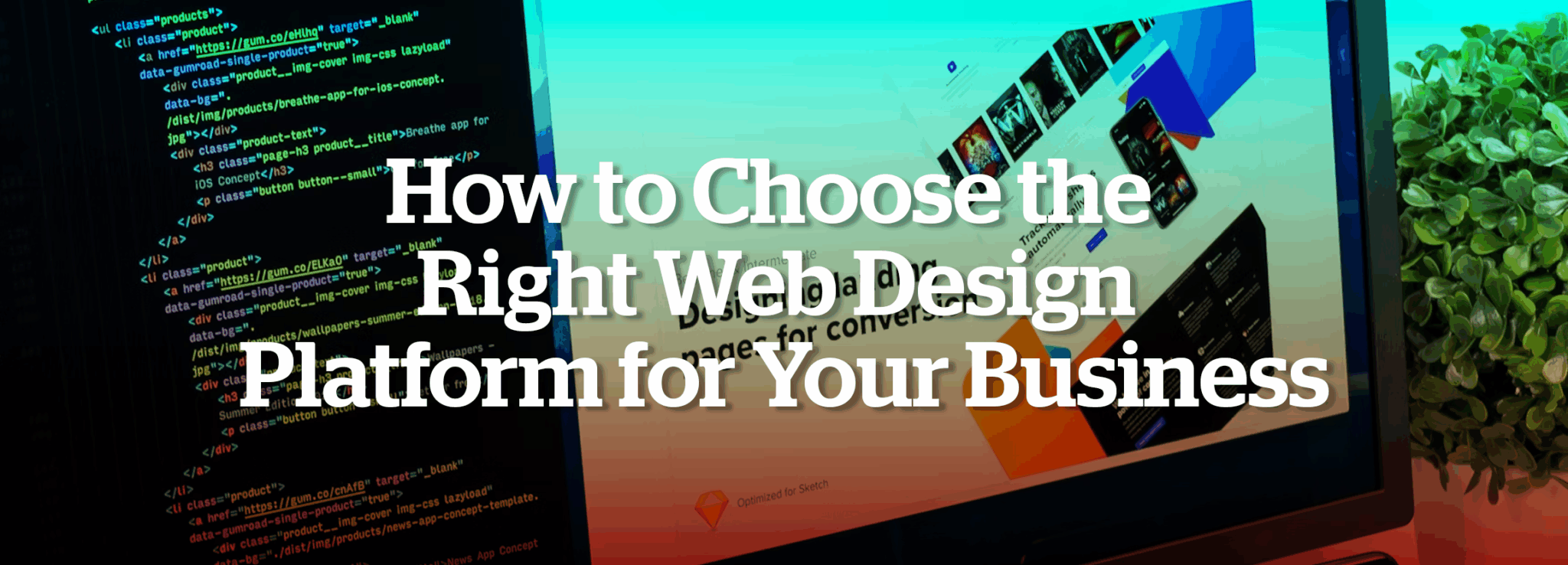 Right Web Design Platform : how to choose it